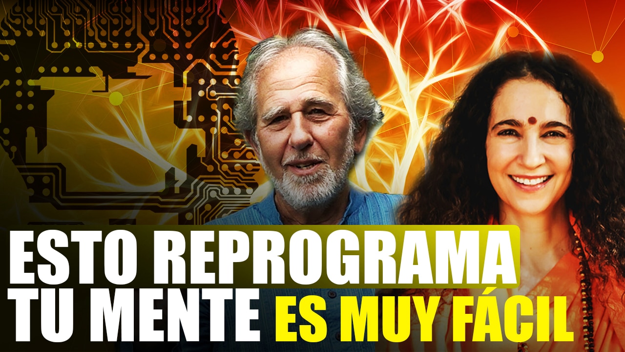 🔴 Reprograma tu Mente Subconsciente. (ESTA es la CLAVE). Dr. Bruce ...